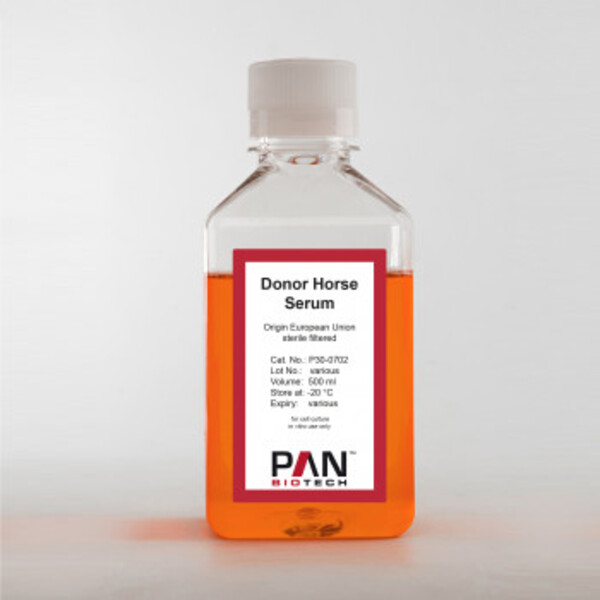 Donor horse serum | International Medical Products